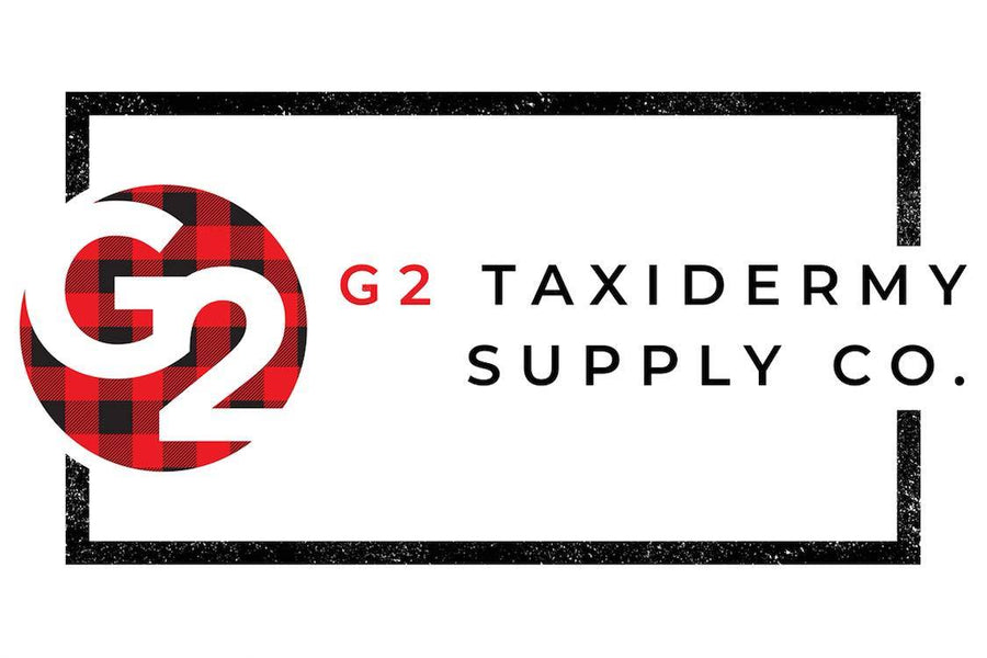 Whitetail Deer Forms – G2 Taxidermy Supply