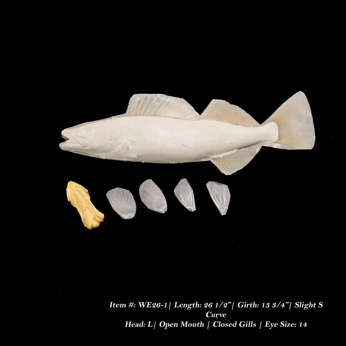 Walleye Reproductions by Matt Welsh - G2 Taxidermy Supply – G2 ...