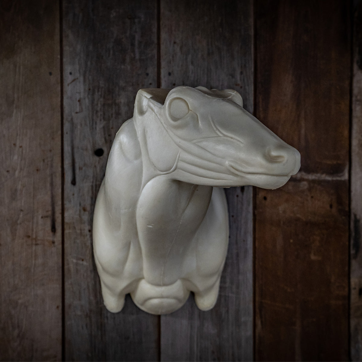 Semi Sneak Whitetail Deer Forms - G2 Taxidermy Supply – G2 Taxidermy Supply