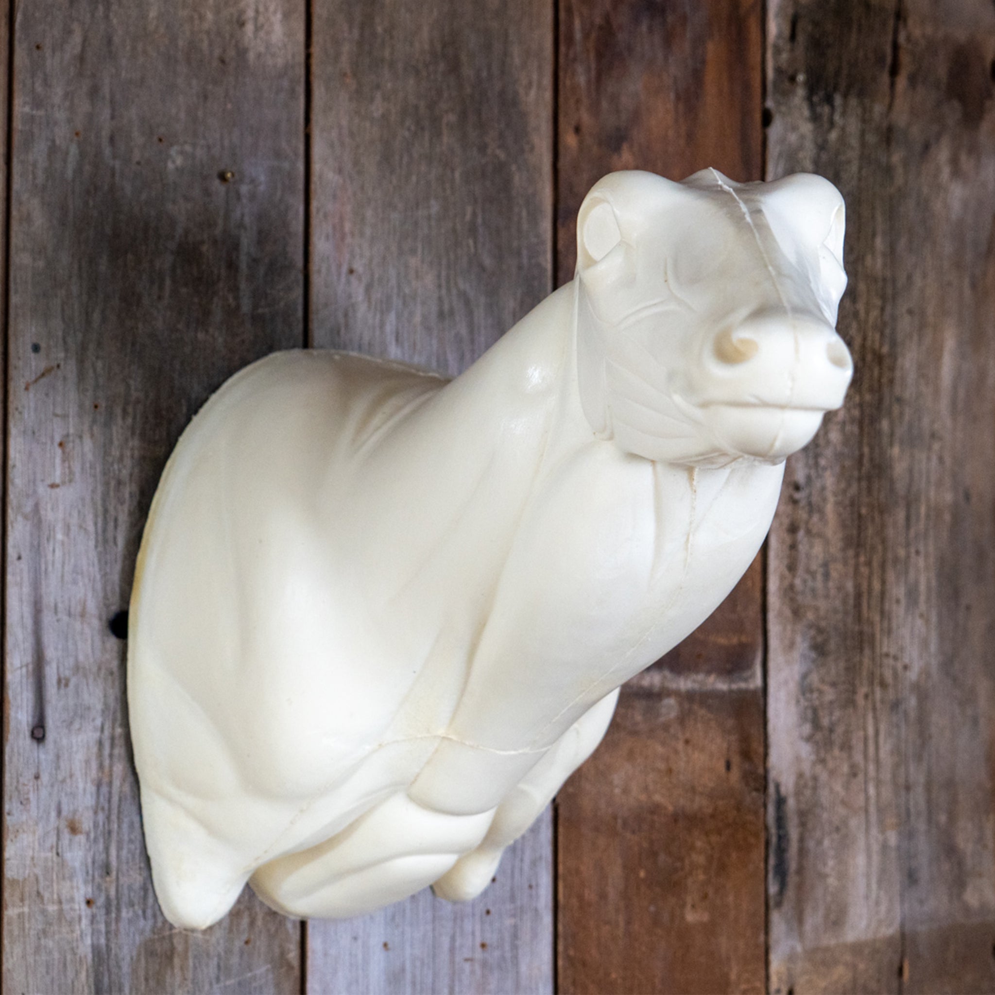 Semi Sneak Whitetail Deer Forms - G2 Taxidermy Supply – G2 Taxidermy Supply