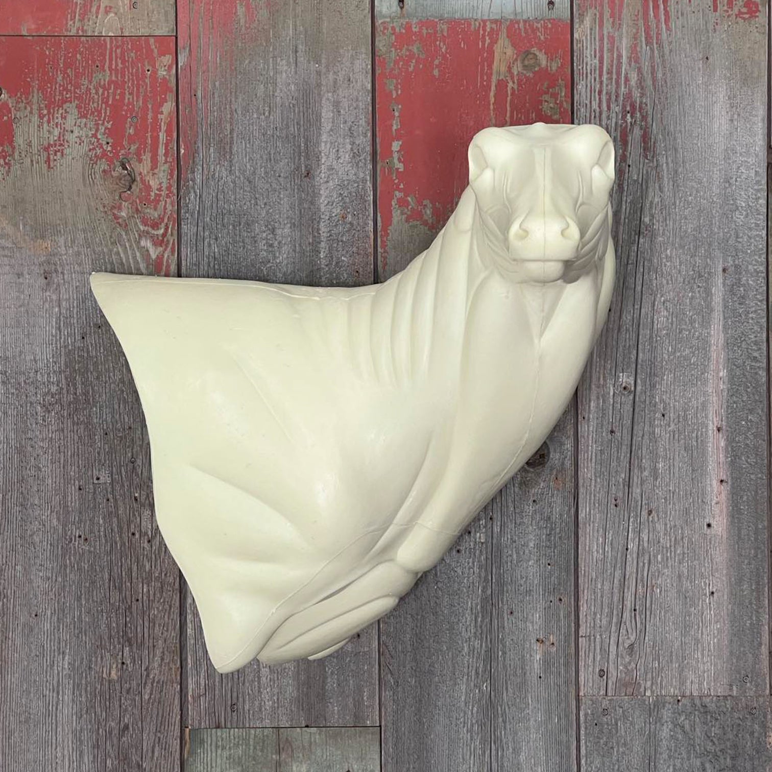 Whitetail Deer Forms – G2 Taxidermy Supply