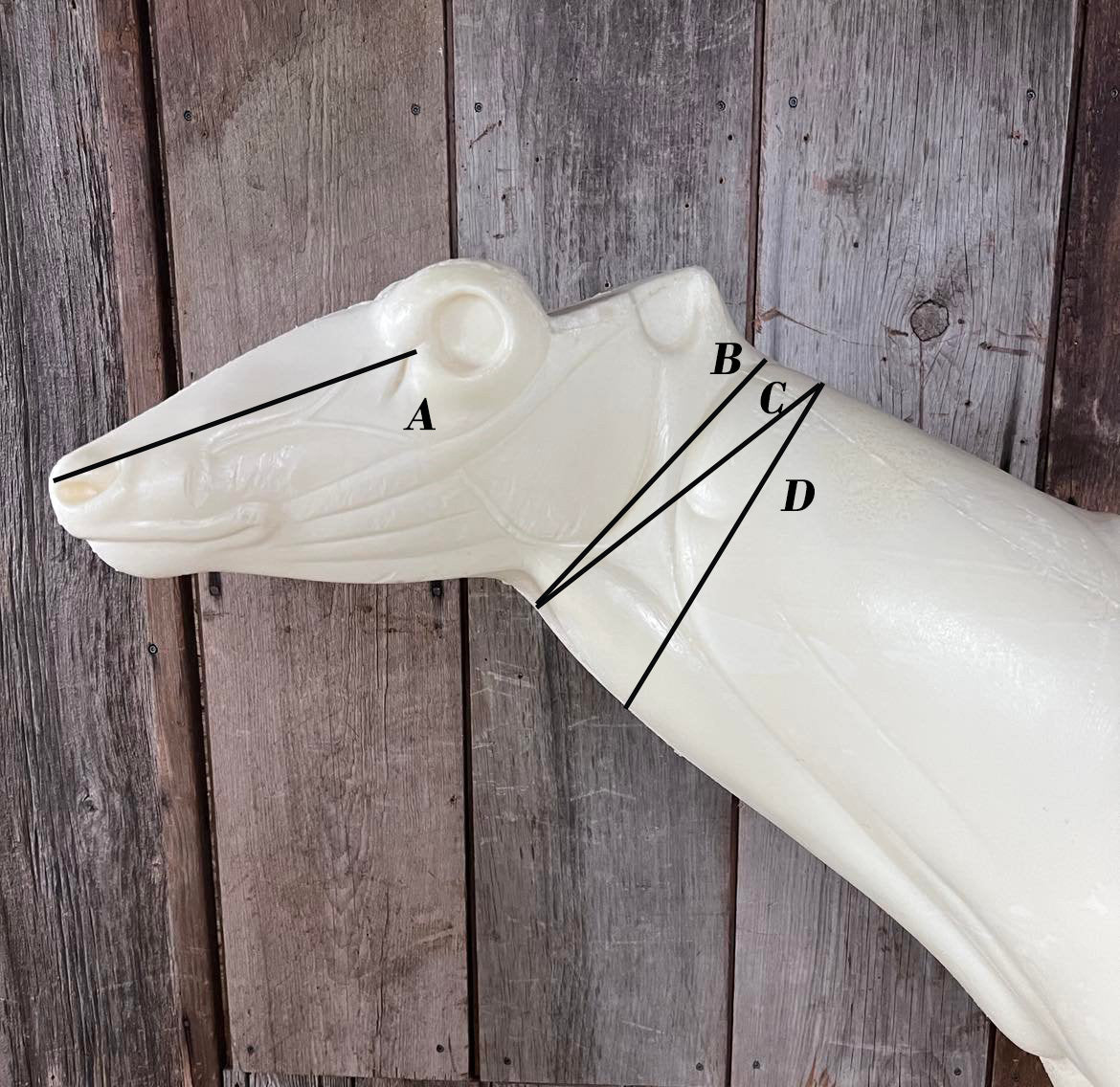 Semi Upright Whitetail Deer Forms - McCredie Series – G2 Taxidermy Supply