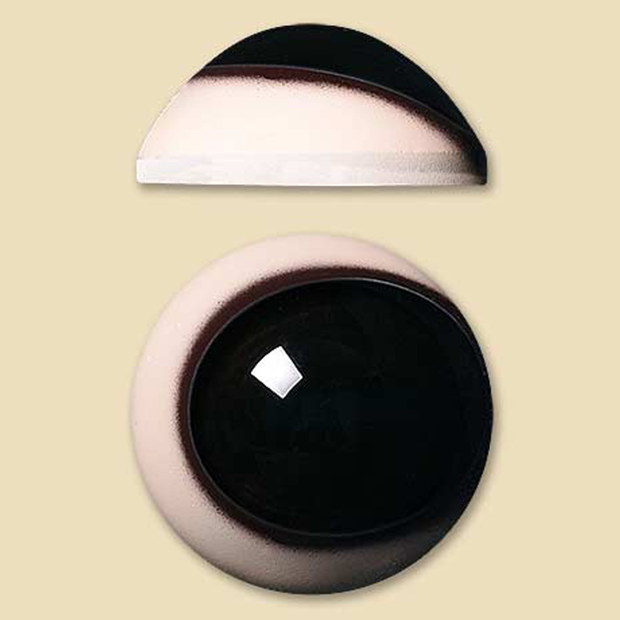 Payer Whitetail Deer Eyes - G2 Taxidermy Supply – G2 Taxidermy Supply