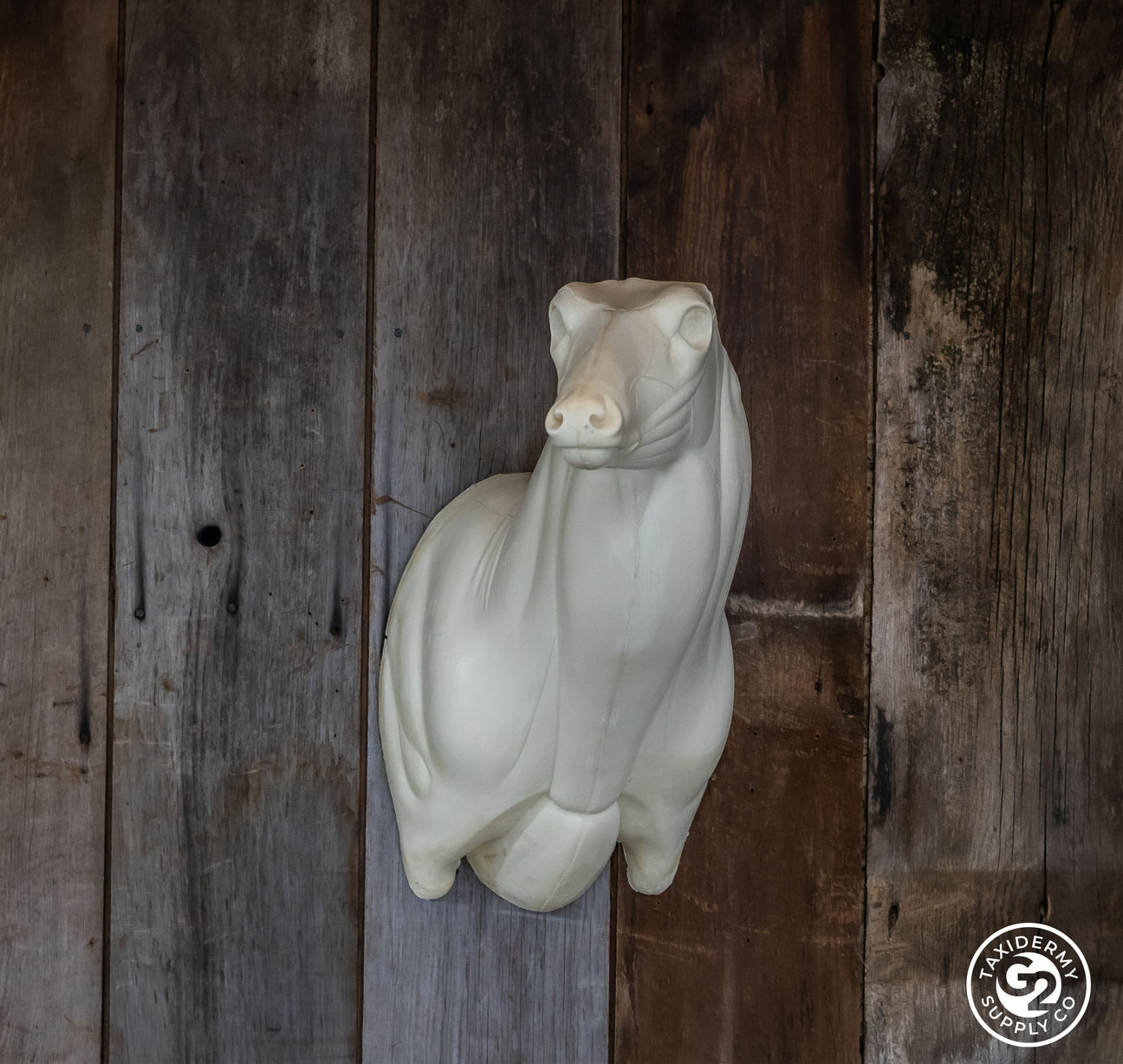 Whitetail Deer Forms – G2 Taxidermy Supply